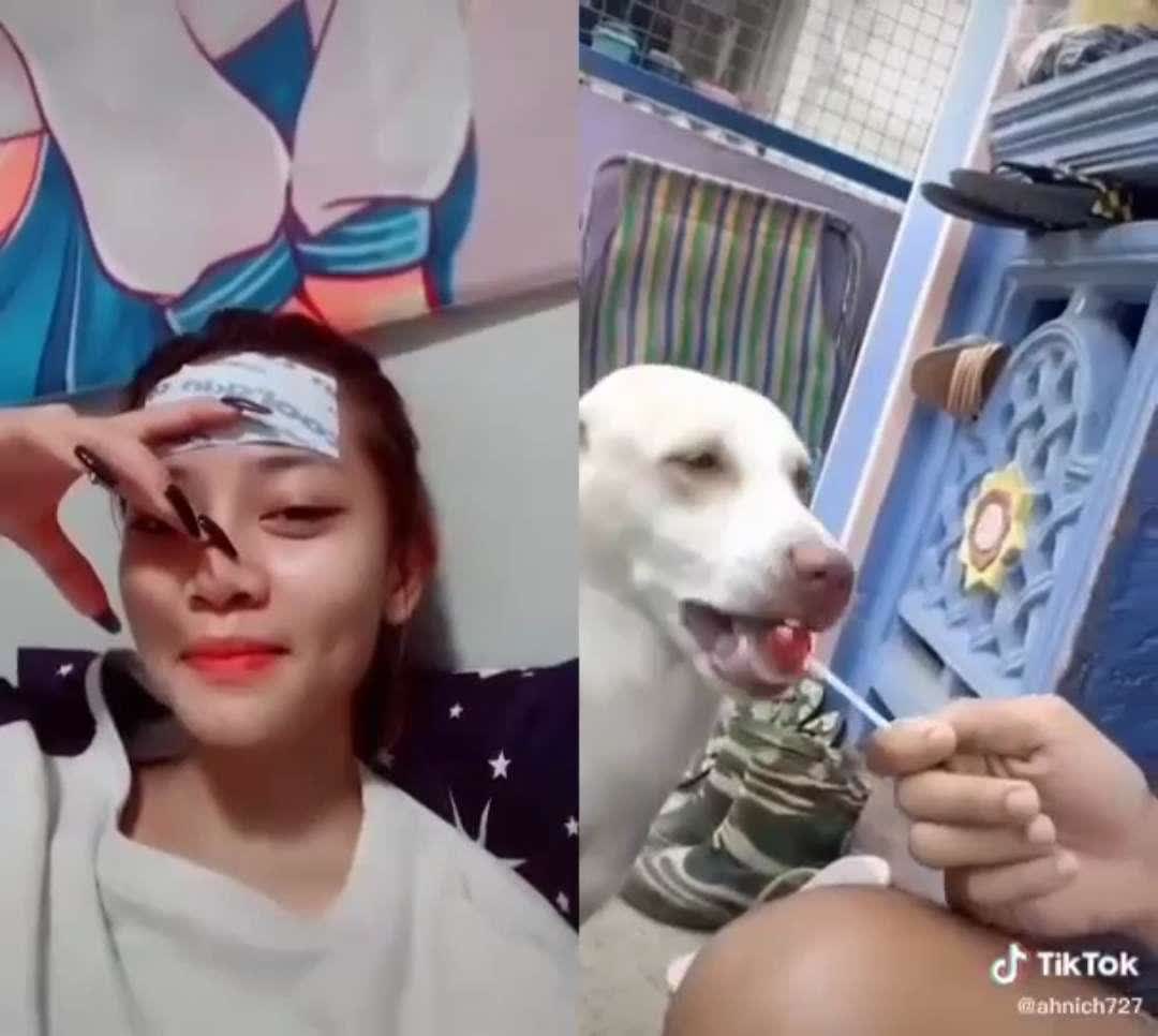 has ha😂😂 - TNAOT