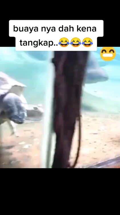 Wowww...haha😂😂 - TNAOT