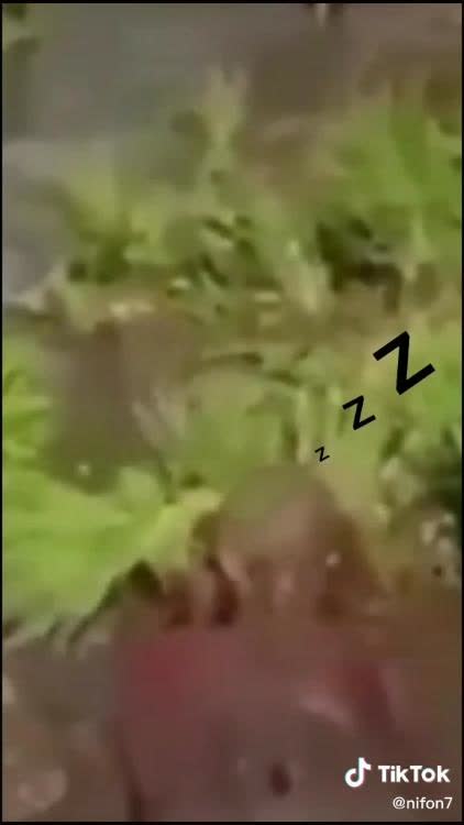 loy mas bb ☺️☺️ like muy - TNAOT