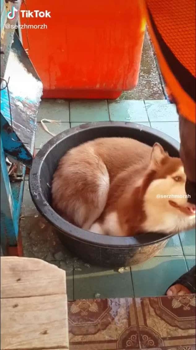 kon neak na? - TNAOT