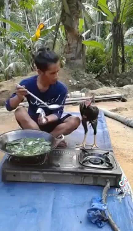 🐓កម្សត់ - TNAOT