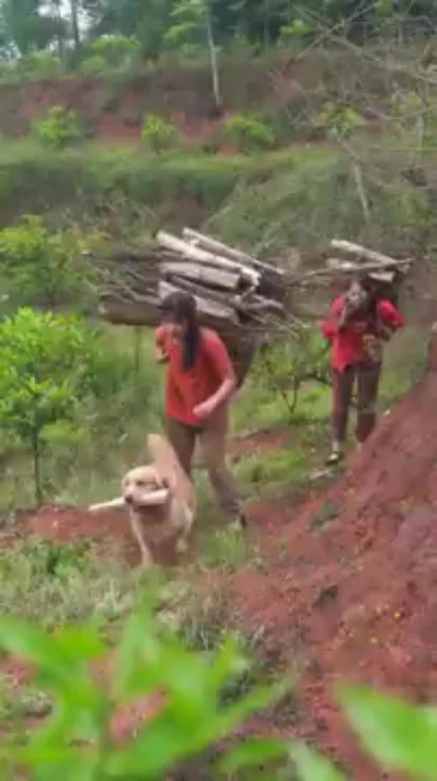 ពូកែញាំណាស់ស្រីស្អាត - TNAOT